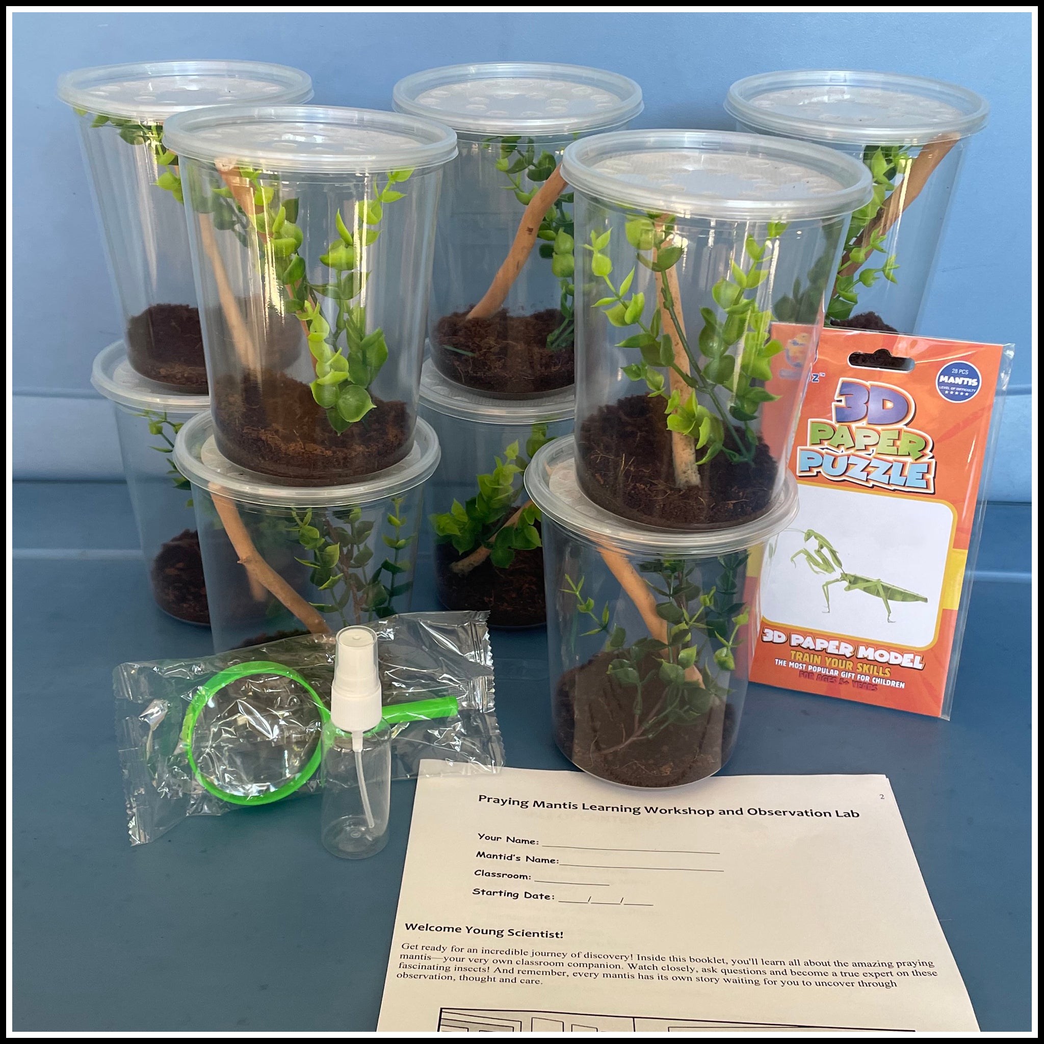 Mantis Teacher's Classroom Learning Kit and Lab – PrayingMantisShop.com