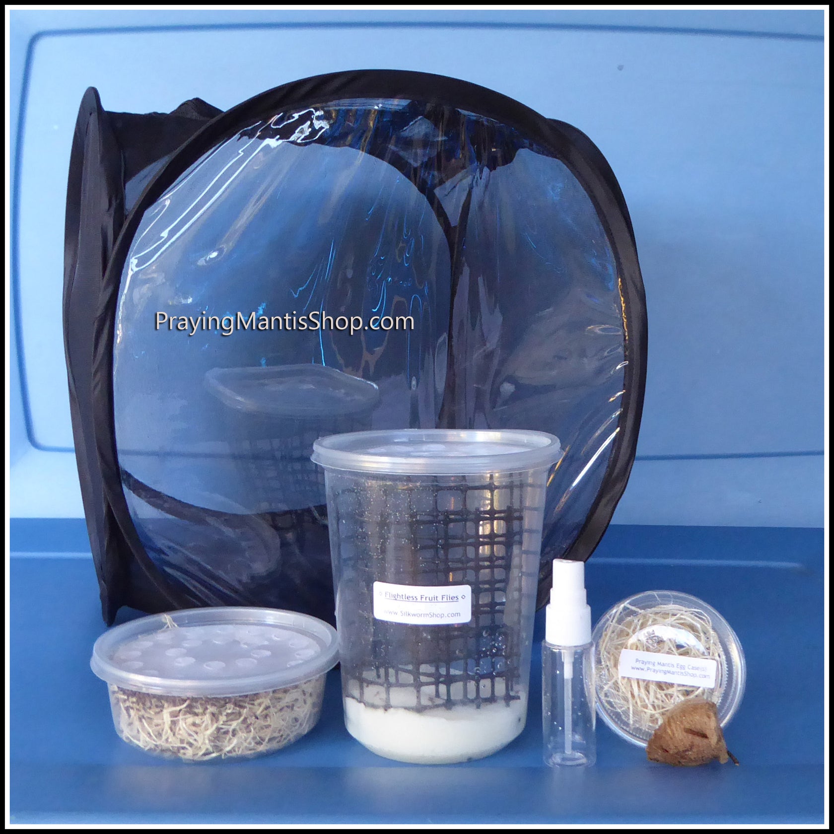 Praying Mantis Basic Kit – PrayingMantisShop.com