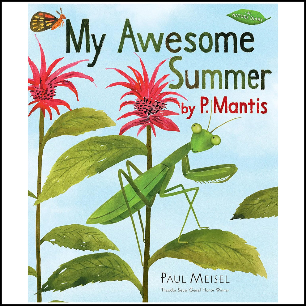 Book - My Awesome Summer by P. Mantis – PrayingMantisShop.com