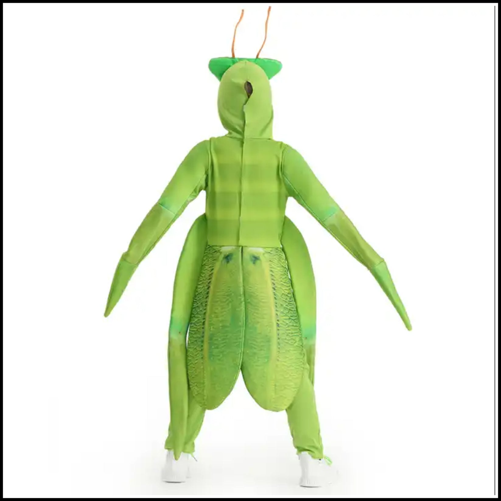 Praying Mantis Costume for Kids – PrayingMantisShop.com