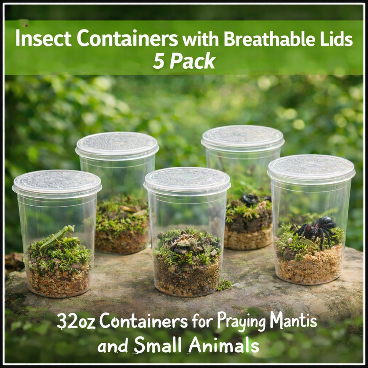 Praying Mantis Enclosure - 32oz Containers and Lids - 5 Pack ...