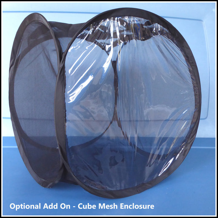 The Praying Mantis Shop - Purchase Live Praying Mantid and Supplies ...