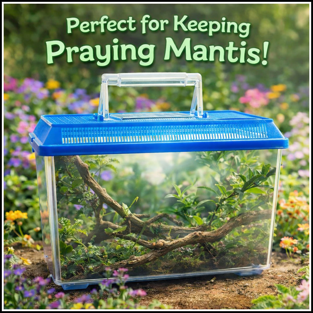 Praying Mantis Enclosure - Kritter Keeper Cage – PrayingMantisShop.com