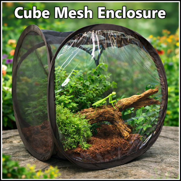 Praying Mantis Enclosure - Cube Mesh for Babies and Adults ...