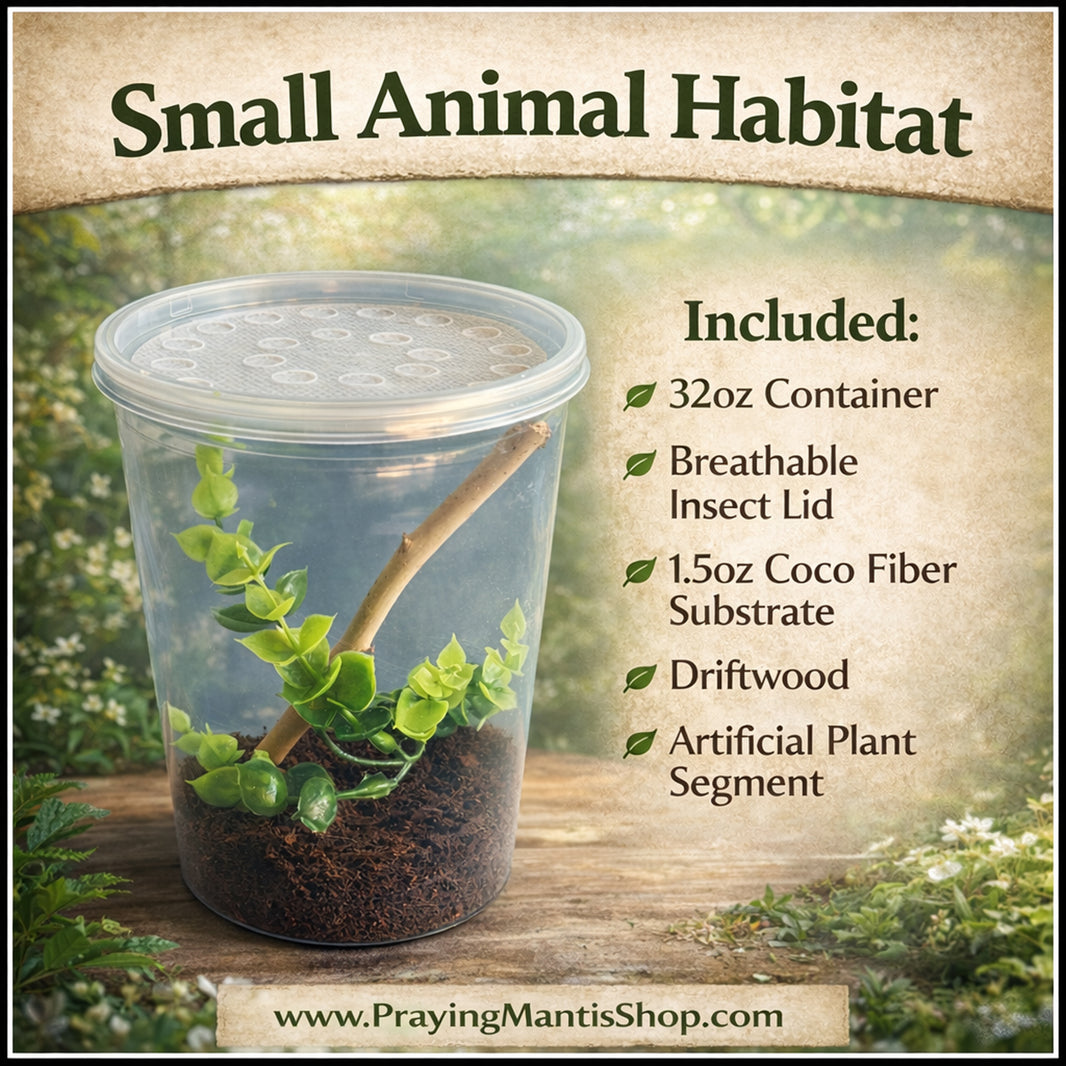 Praying Mantis Enclosures – PrayingMantisShop.com