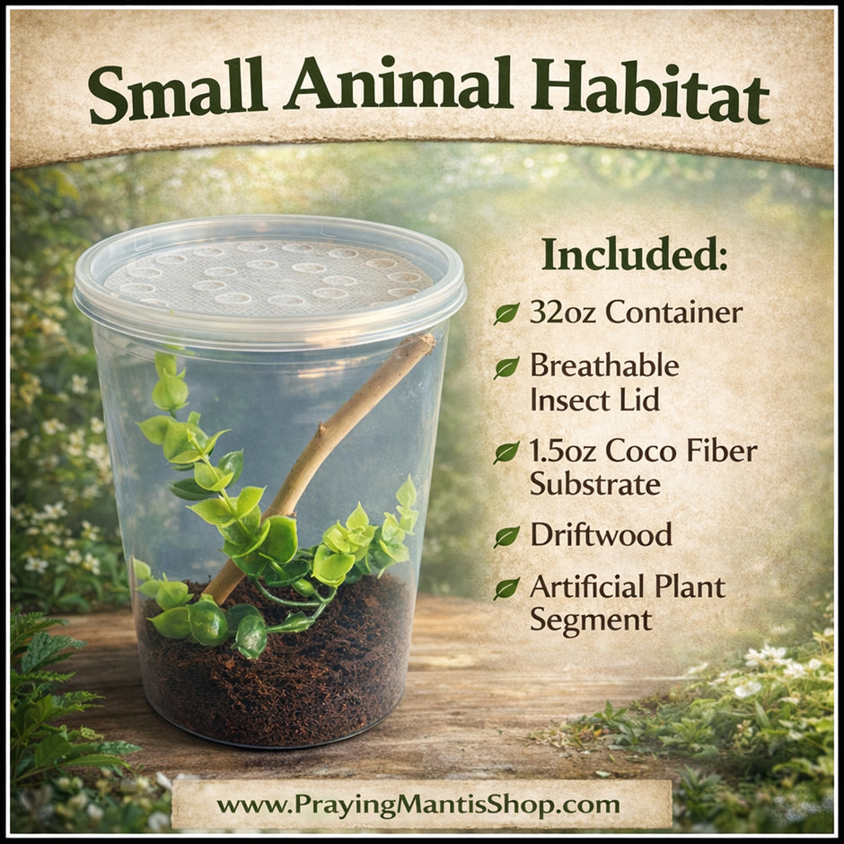 Praying Mantis Enclosures – PrayingMantisShop.com