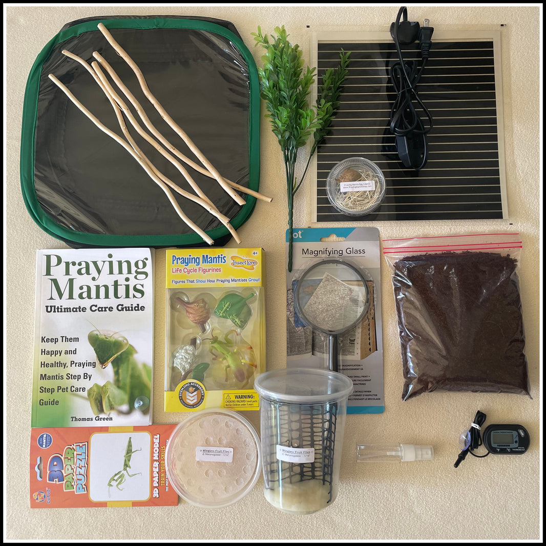 Praying Mantis All In One Kits – PrayingMantisShop.com