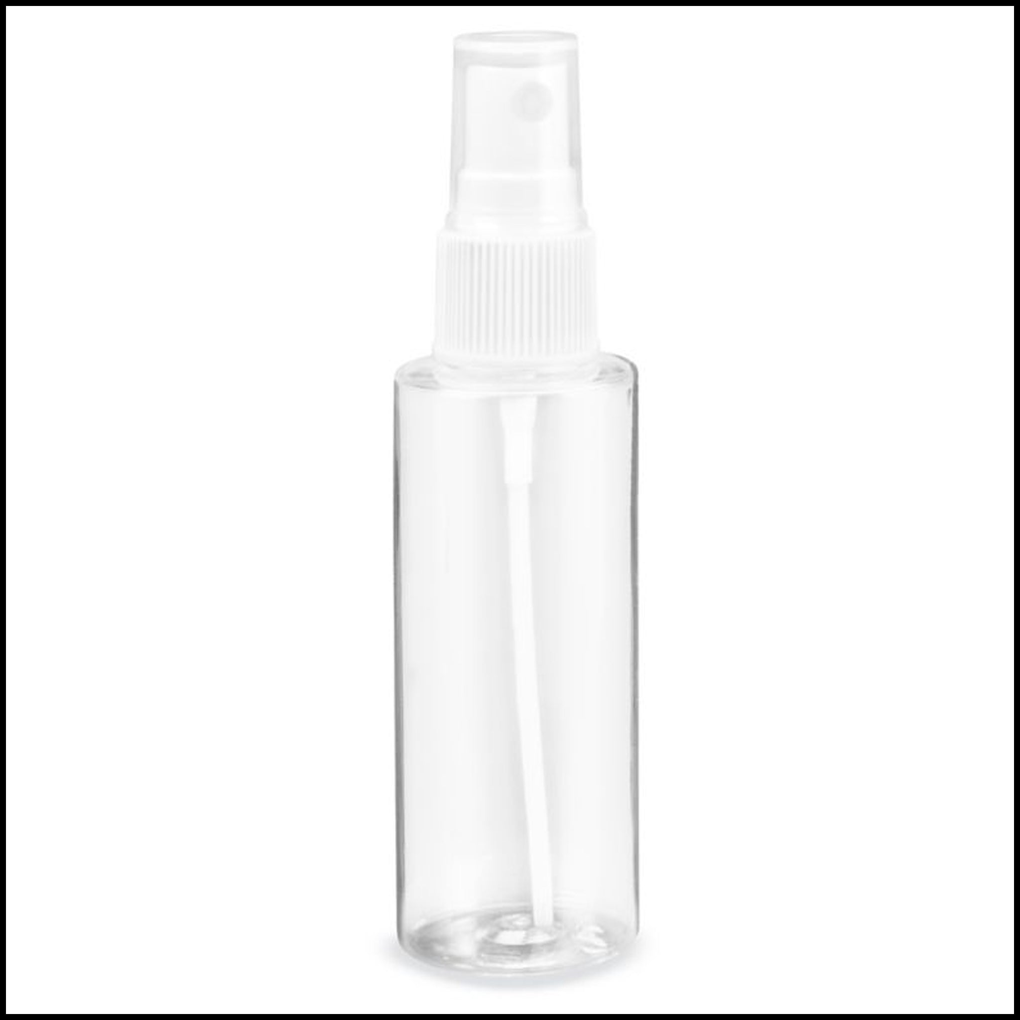 Mini Mister for Praying Mantis Environment – PrayingMantisShop.com