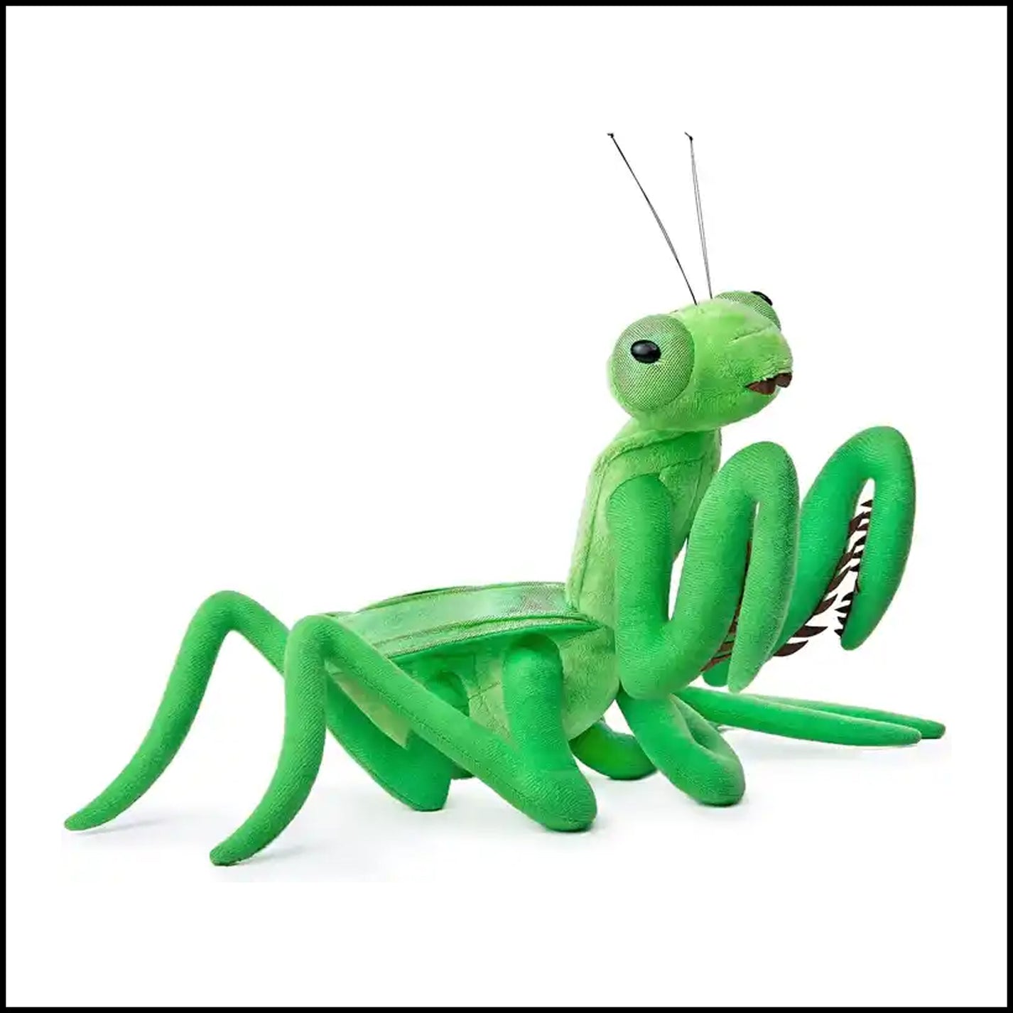 Stuffed Animal Praying Mantis – PrayingMantisShop.com