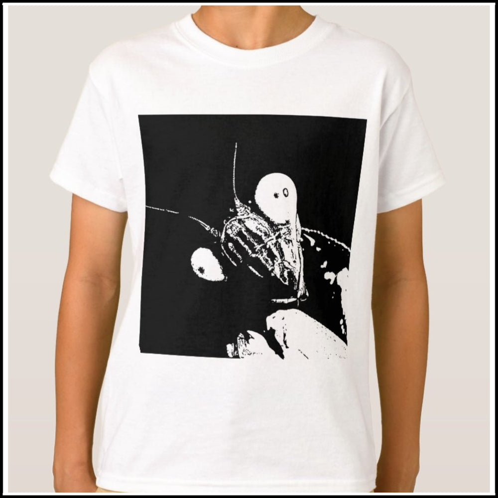 Collections – PrayingMantisShop.com